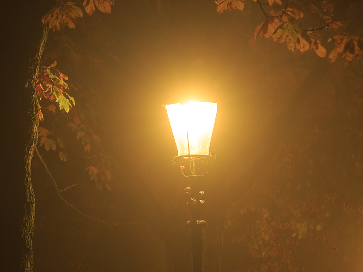 PHOSPHOR CONVERTED AMBER LEDs | Carclo Optics